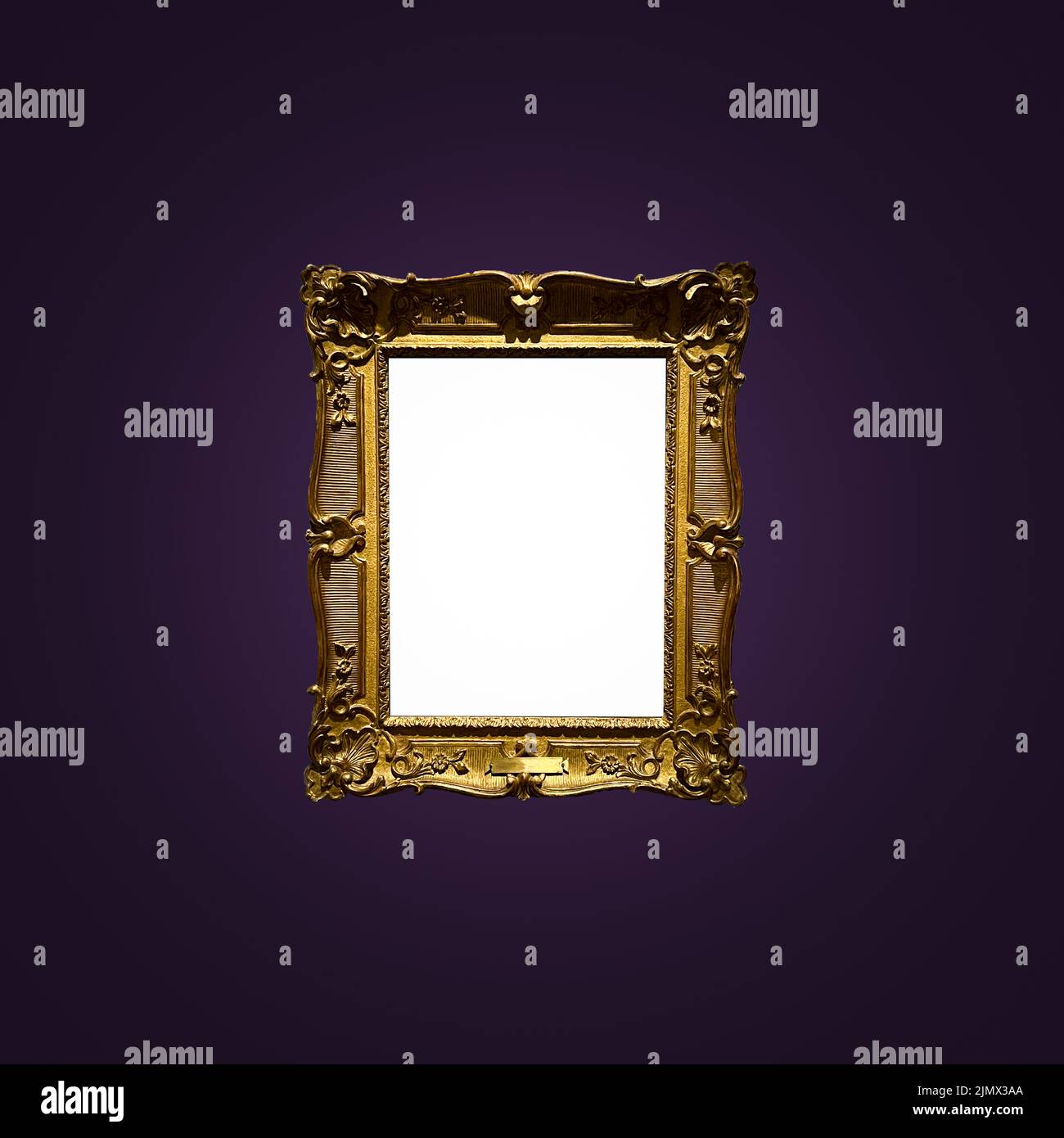 Antique art fair gallery frame on royal purple wall at auction house or ...