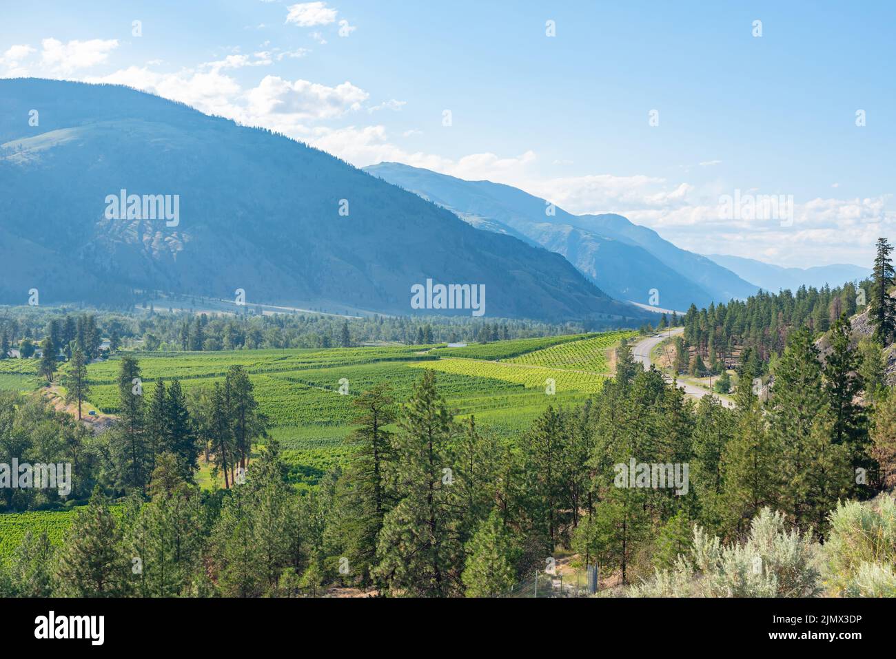 High angle summer view of farms and vineyards in the Simikameen Valley ...