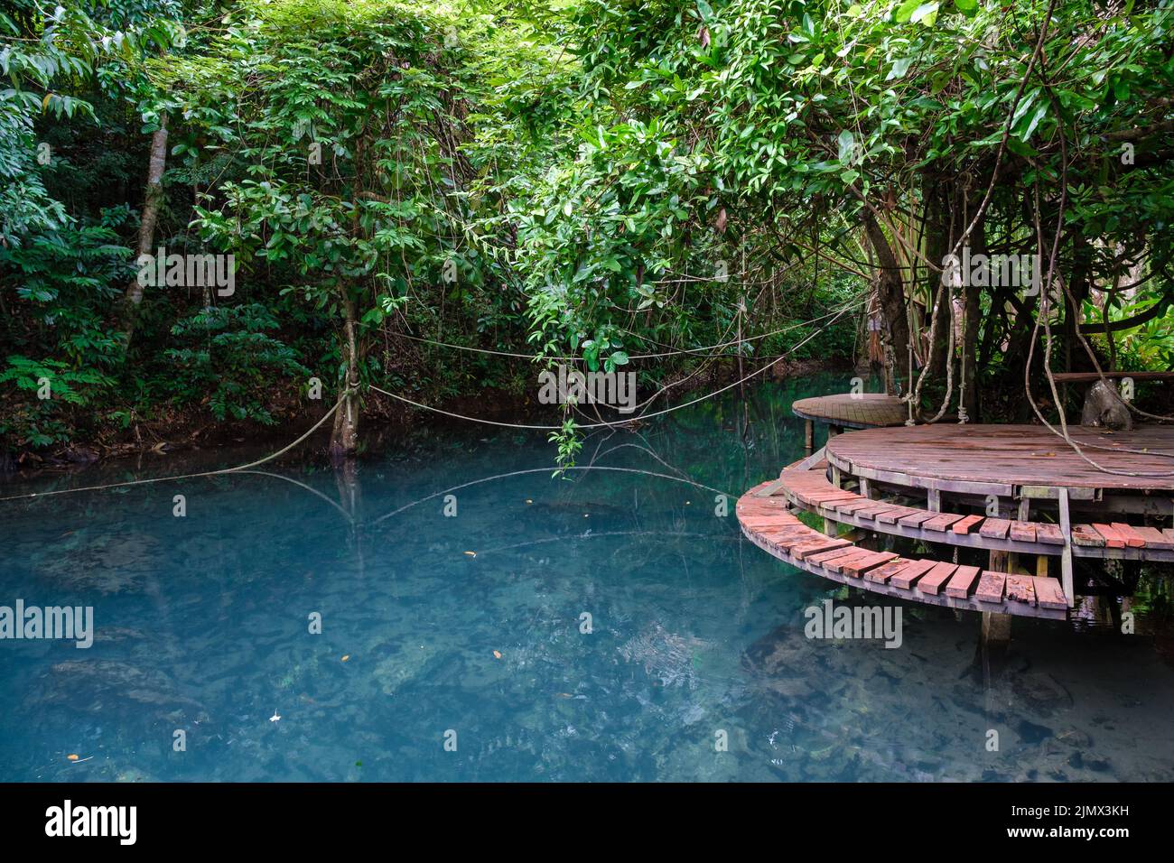 Klong Sa Kaew Krabi Thailand mangrove forest popular for kayaking in ...