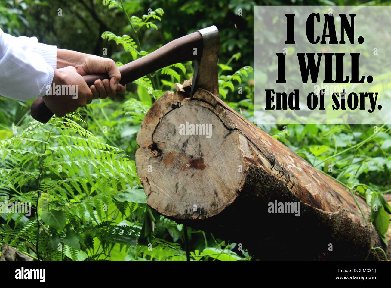 Inspirational motivational quote - I can. I will. End of story. With ...