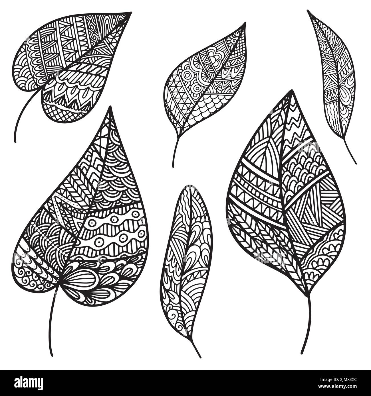 Set of Vector zen tangle and doodle leaf. Anti-stress autumn Nature ...