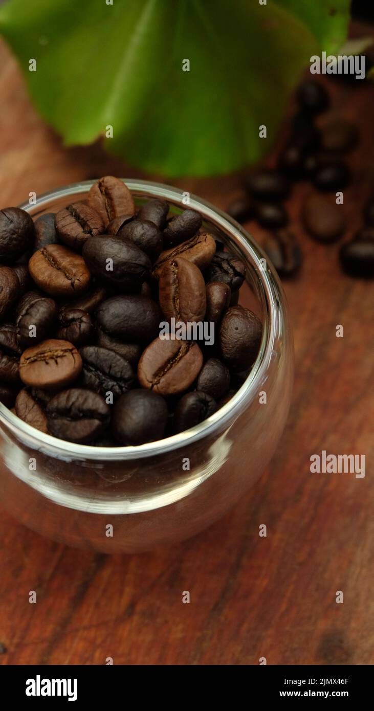 coffee bean robusta arabica cup glass background Stock Photo - Alamy