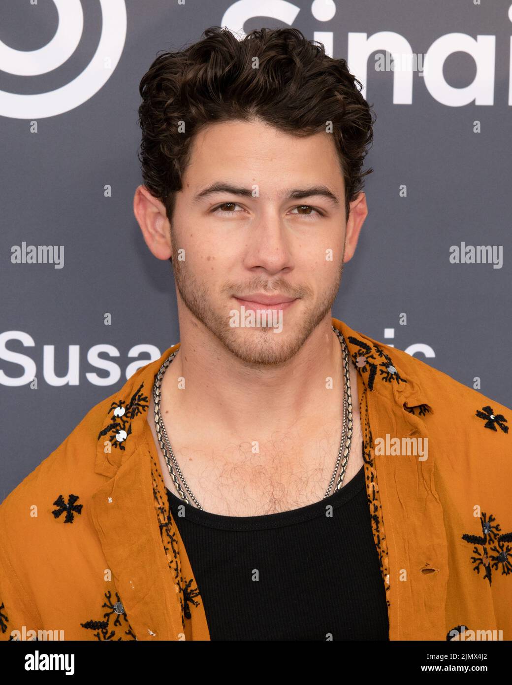Nick Jonas 2022