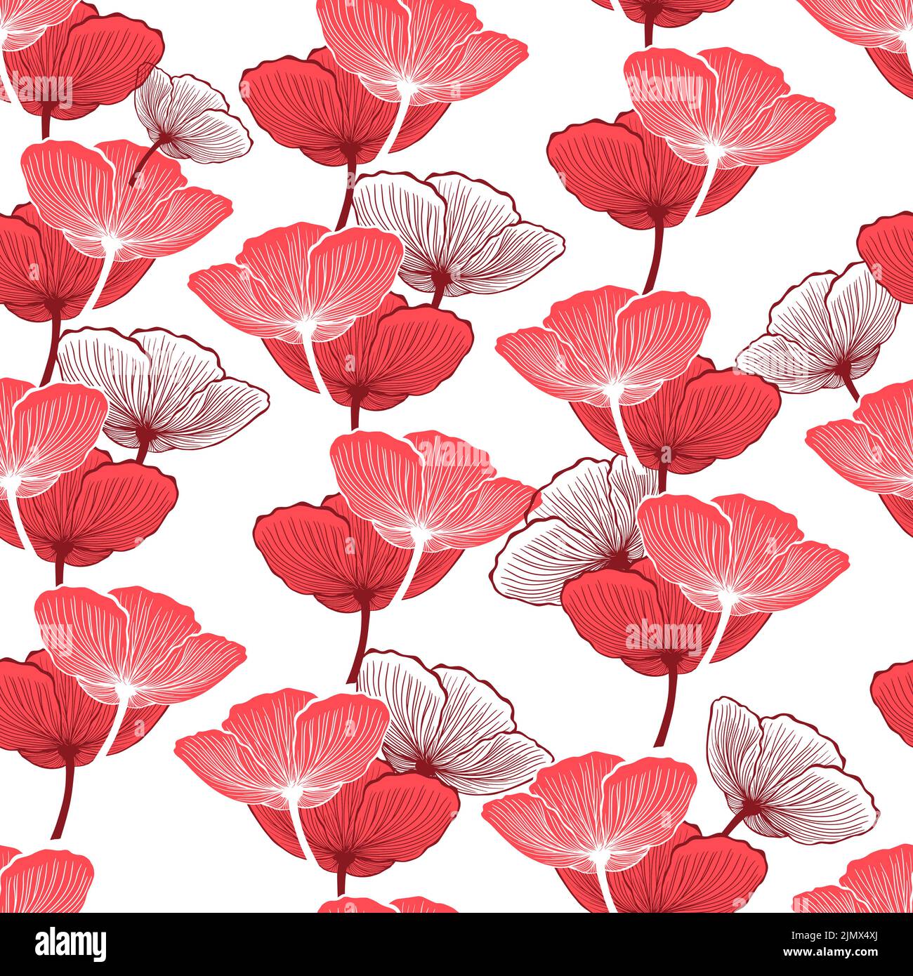 Seamless pattern poppies red on a white background.. Vector ...