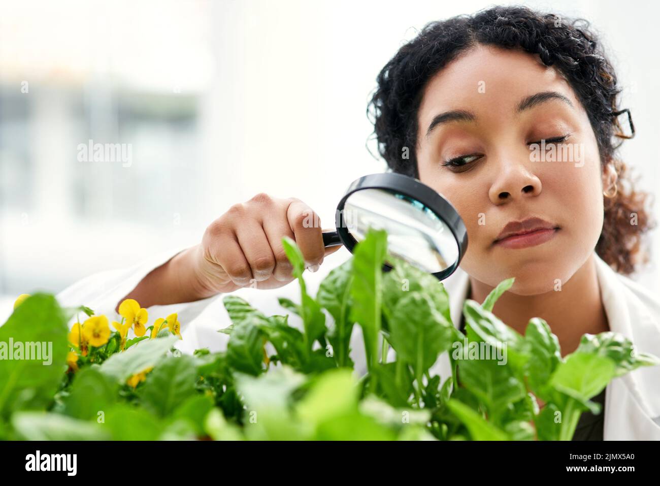 Being a botanist is so much fun. a female scientist looking at a plant ...