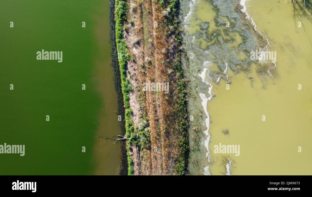 Road through a swamp Ukraine, Ukrainian landscape, photo from a drone ...