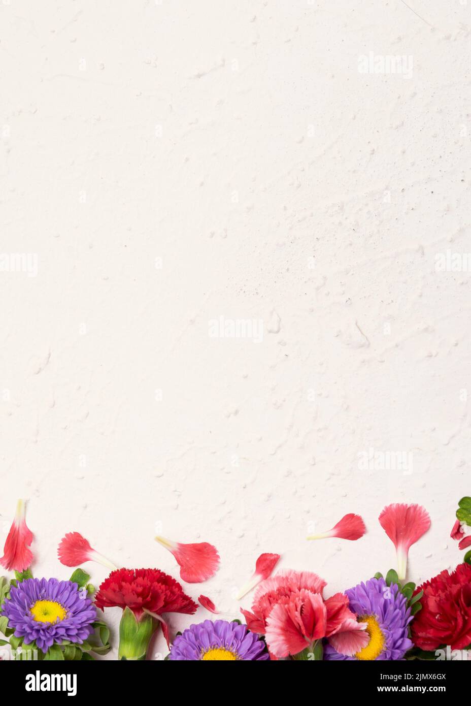 Floral copy space background with roses daisies Stock Photo - Alamy