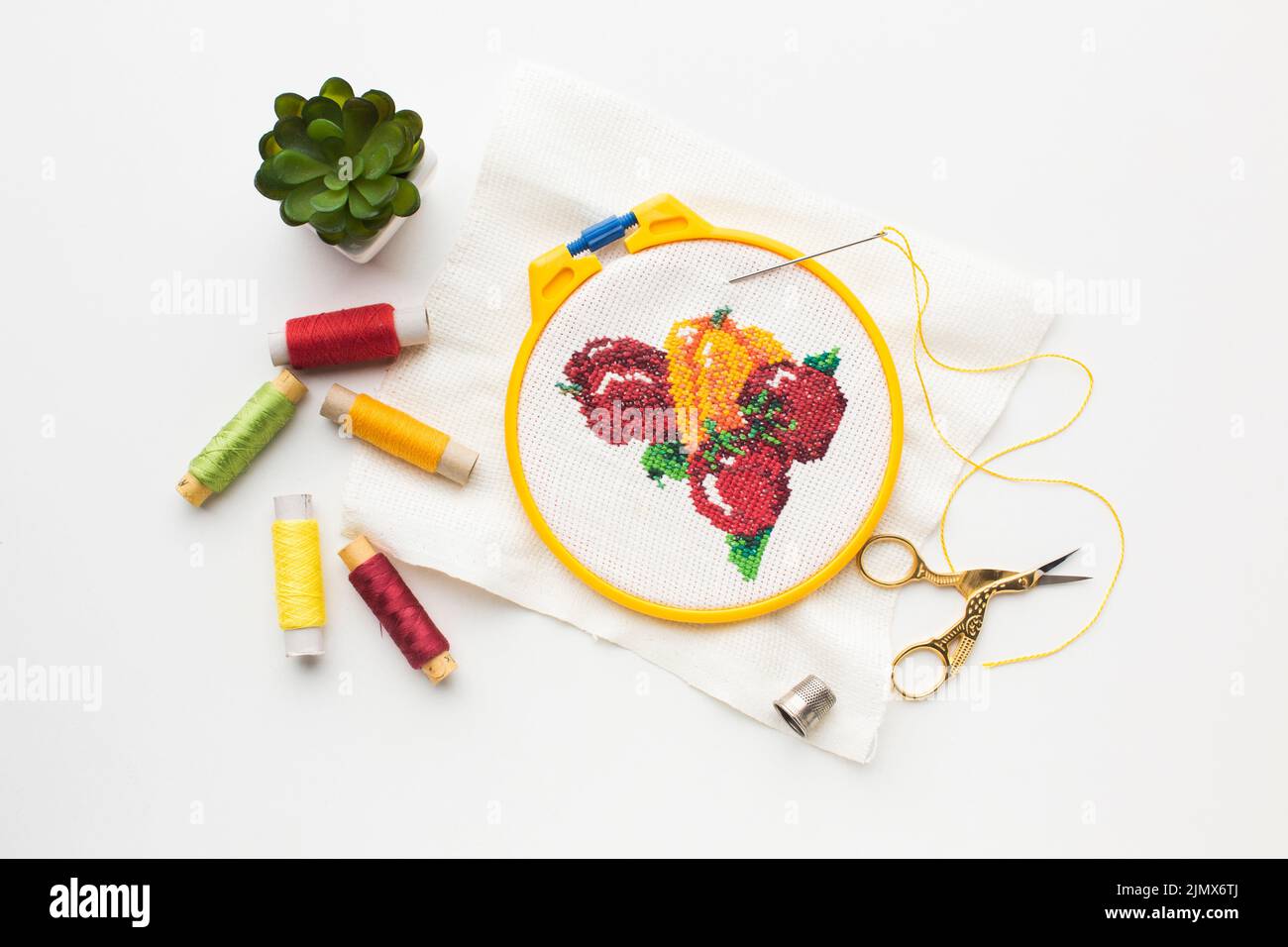 Fruit sewed design with sewing threads plant Stock Photo - Alamy