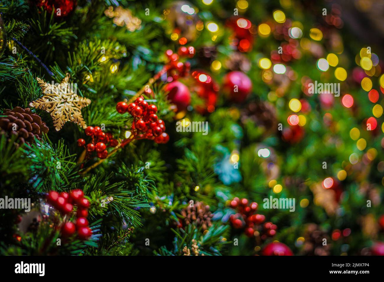 Mumble tree hi-res stock photography and images - Alamy