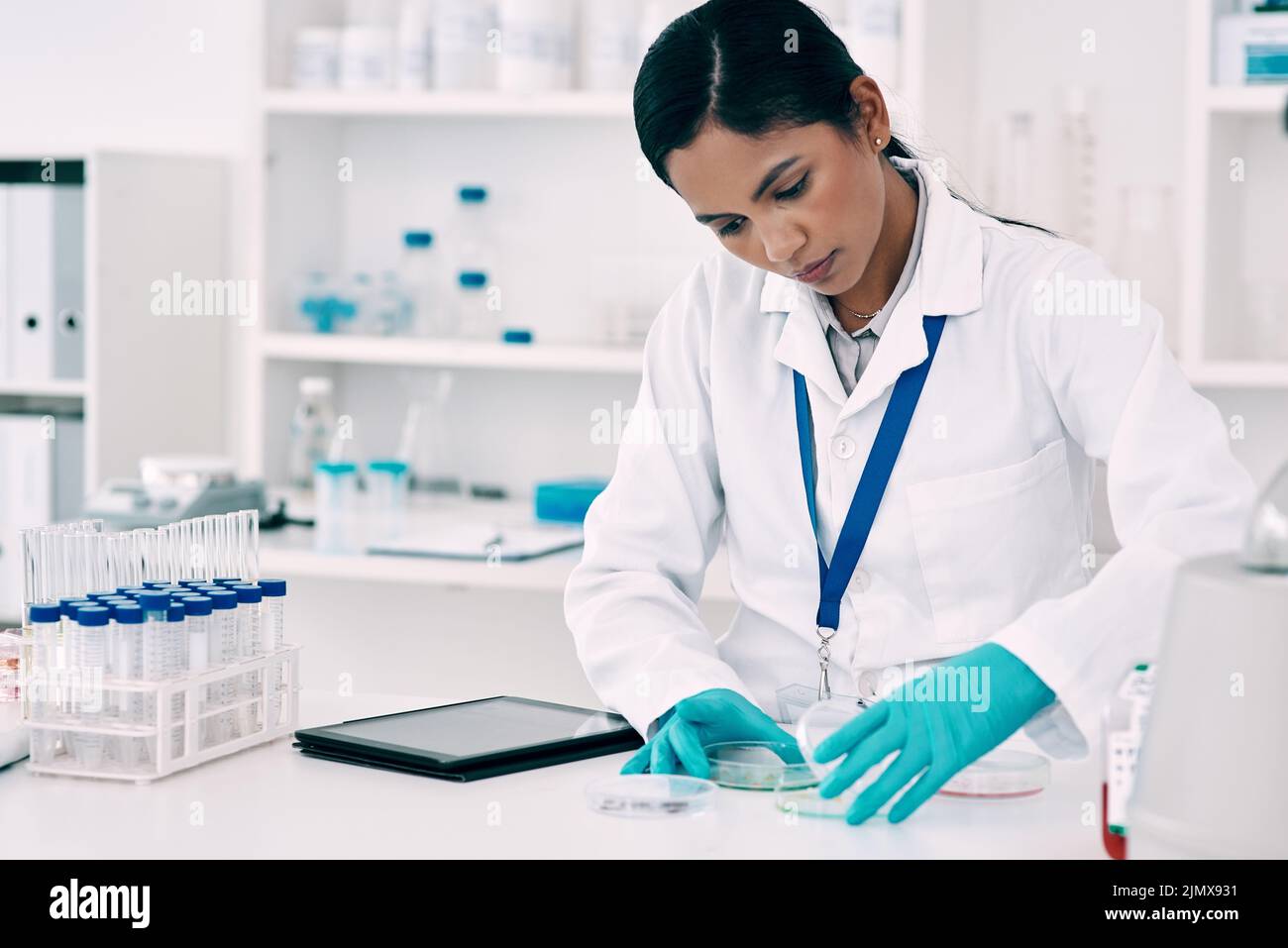 Her focus is on the experiment. an attractive young female scientist ...