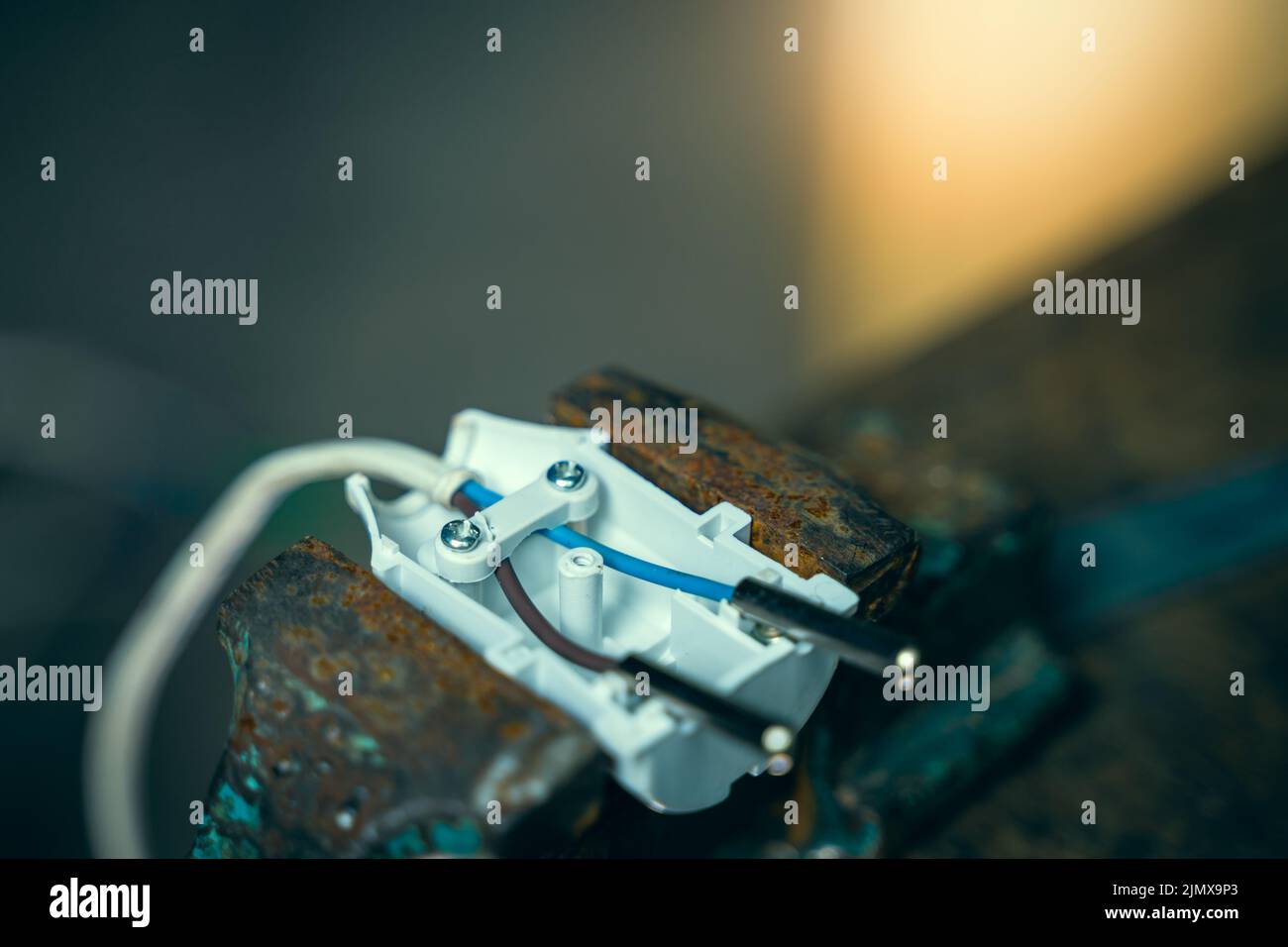 Electrical appliance plug in a section with the insides close-up in an ...