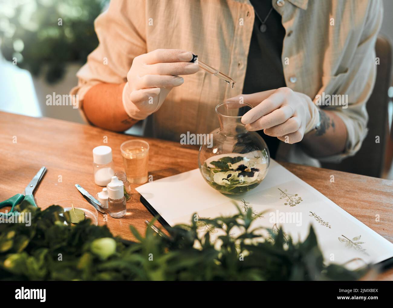 Liquid nutrients are absorbed faster by plants. an unrecognizable botanist adding a liquid ...