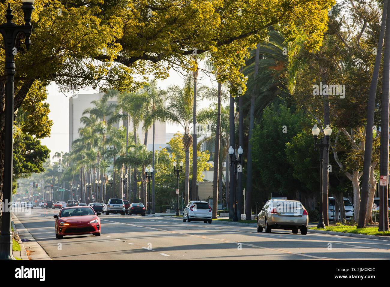 Afternoon tree lined view of Main Street through Floral Park in ...