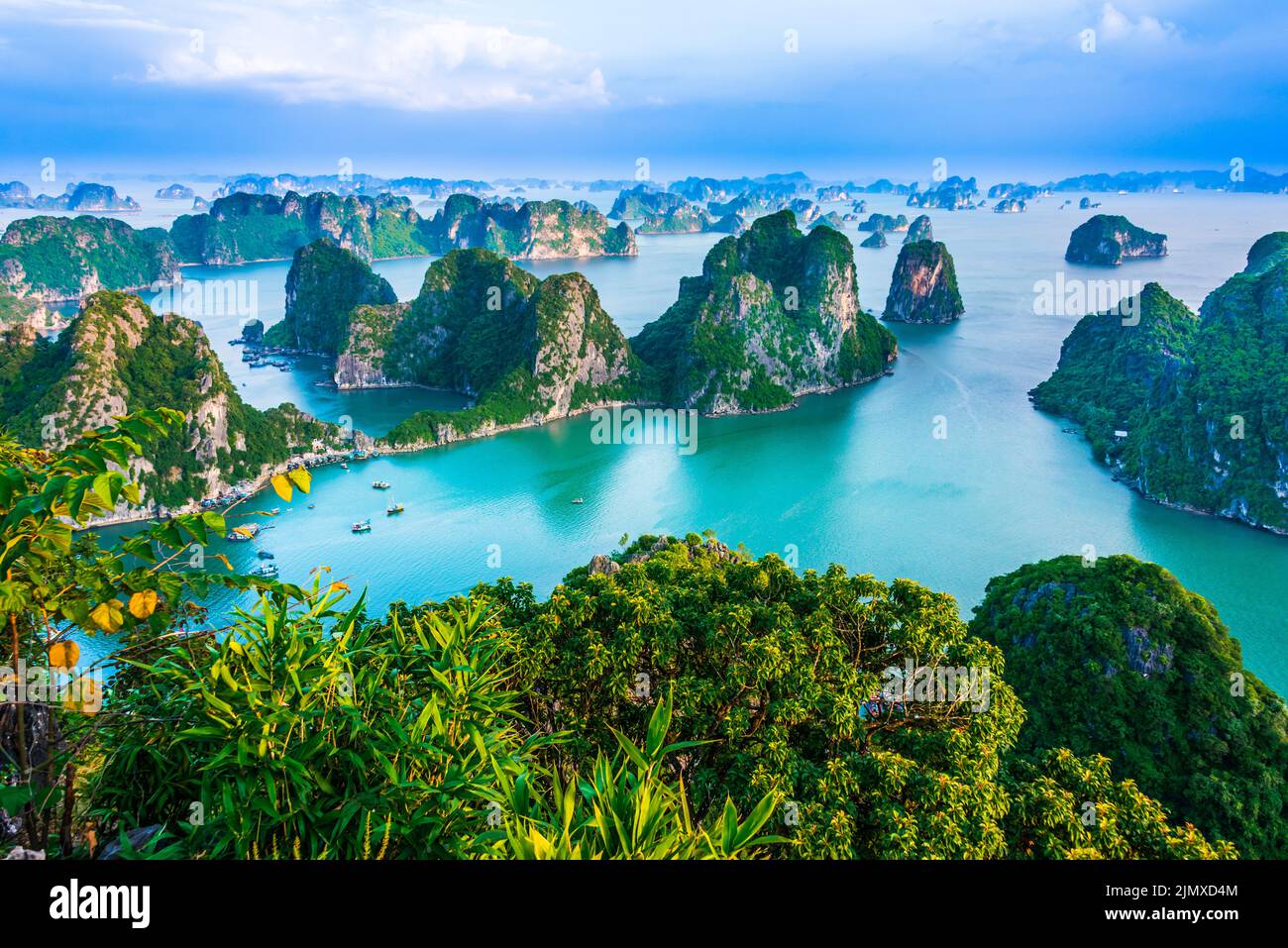 Panoramic view of Ha Long Bay Stock Photo - Alamy