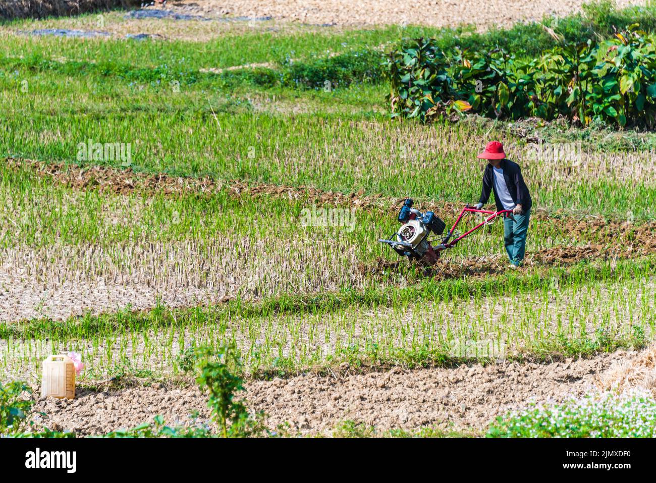 Self-sufficient farming in Ha Giang province, Vietnam Stock Photo - Alamy
