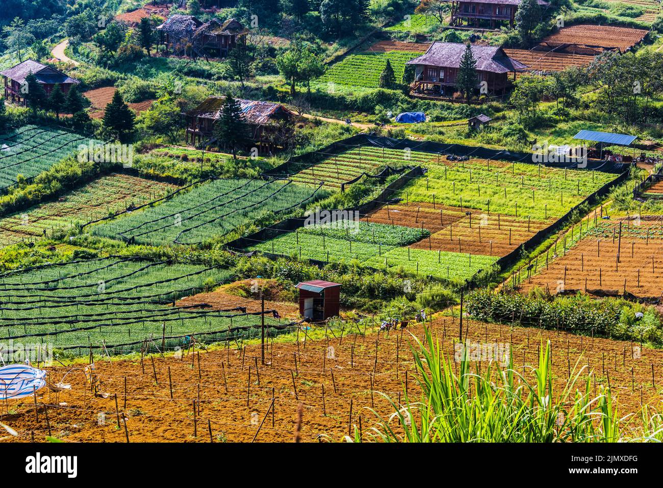 Small scale agriculture in Sapa in Lao Cai Province in northwest ...