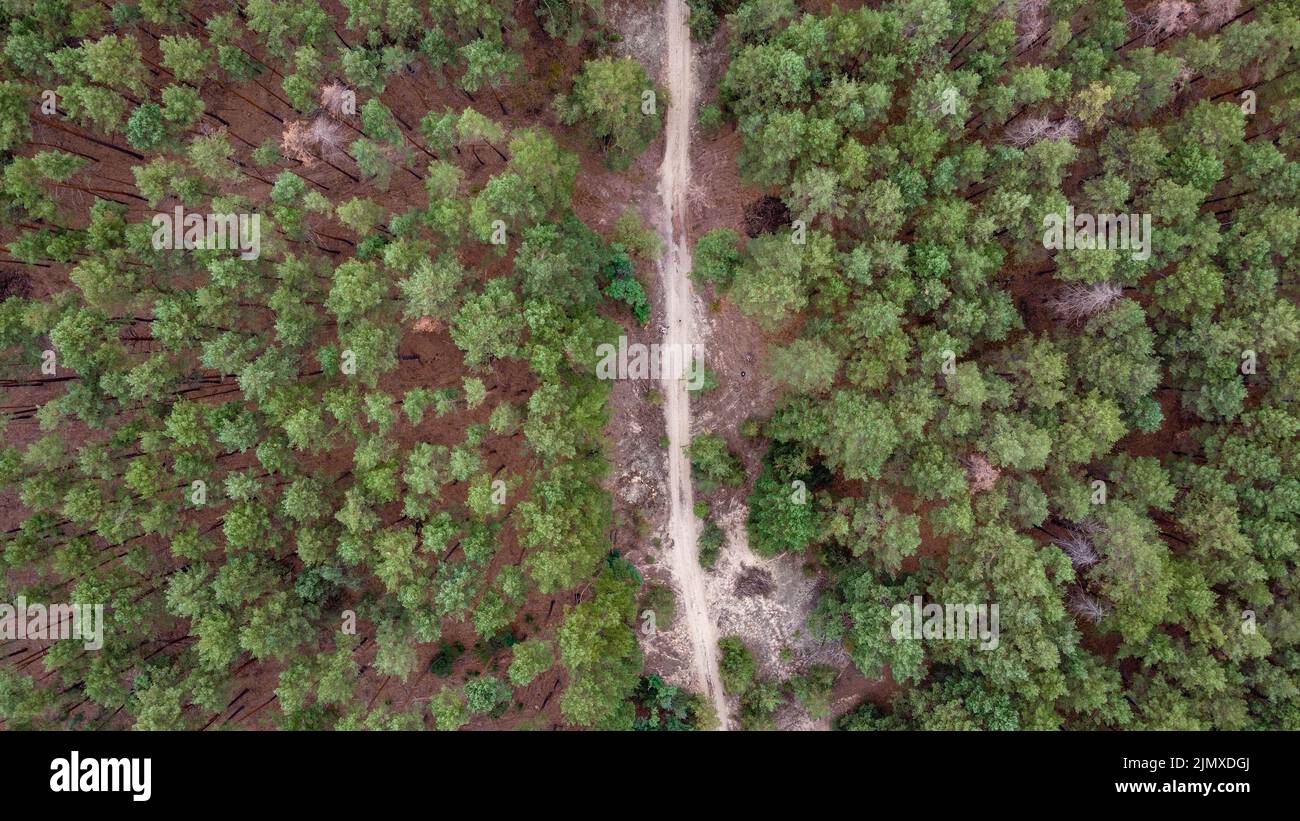 Drone through trees hi-res stock photography and images - Alamy