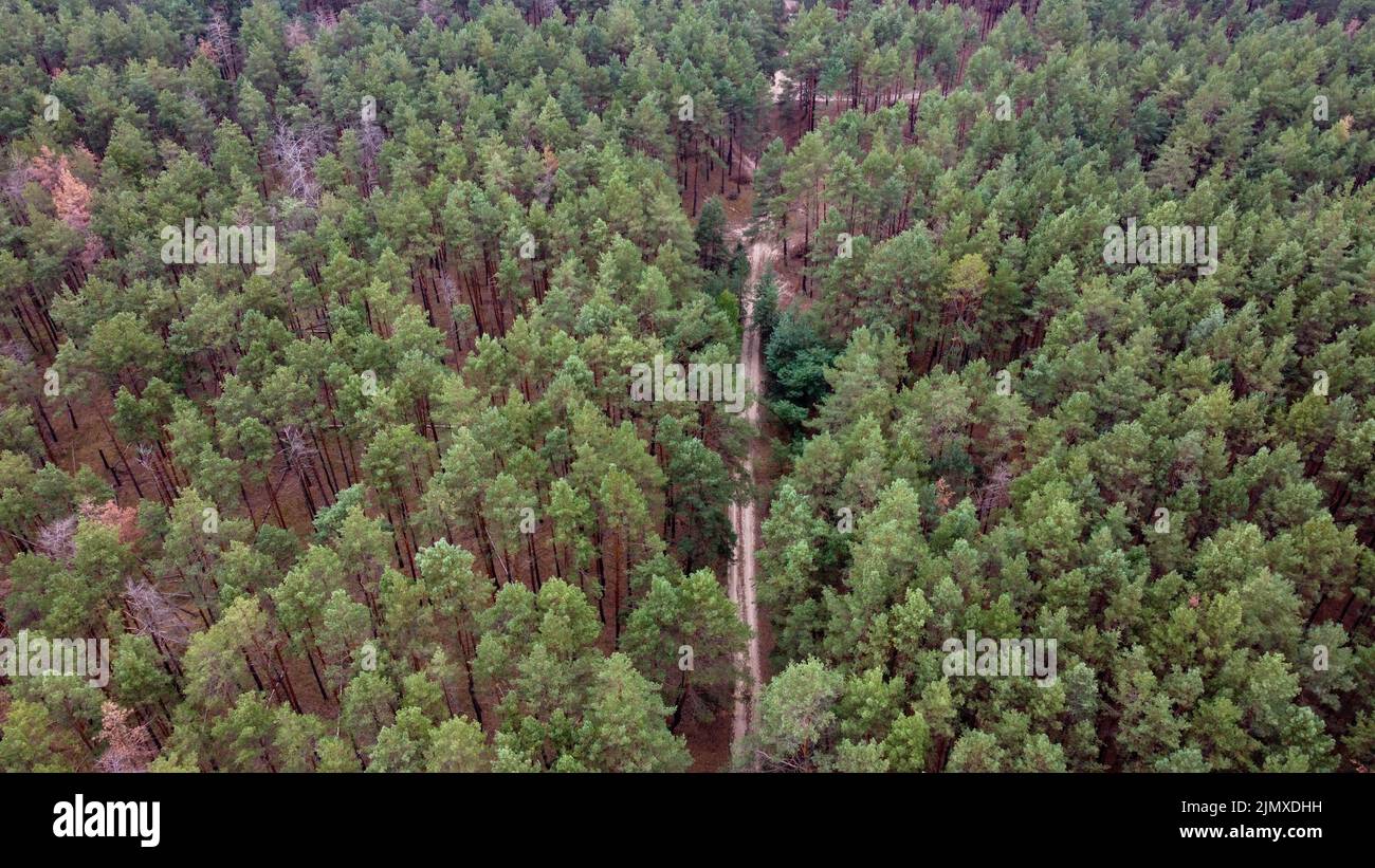 Drone shot of forest hi-res stock photography and images - Alamy