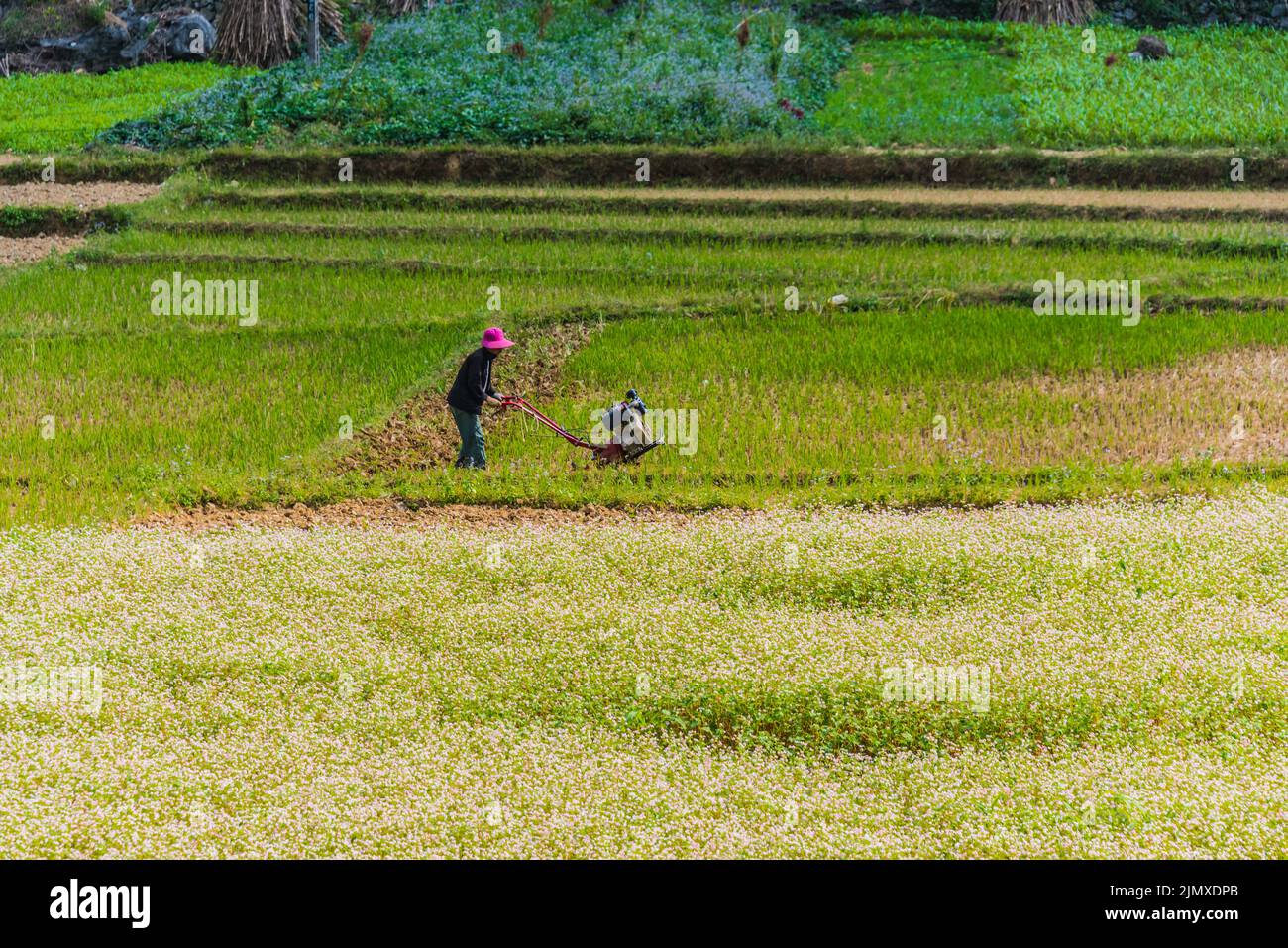 Rural labor intensive hi-res stock photography and images - Alamy