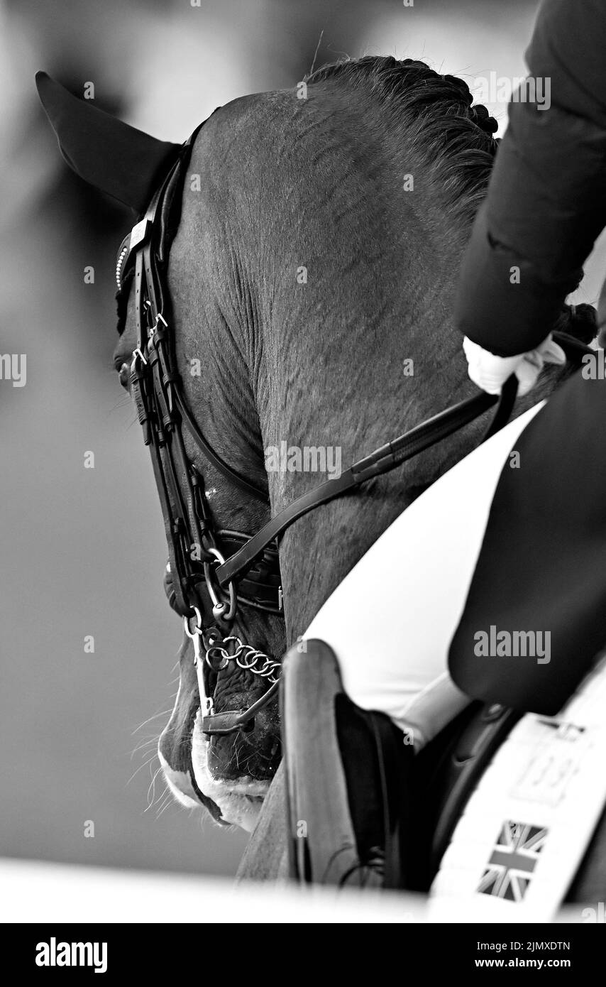World championship 2022 Black and White Stock Photos & Images - Alamy