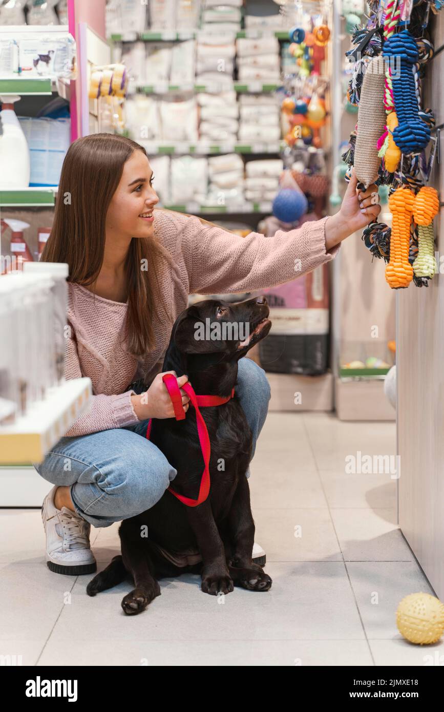 Adorable dog with owner pet shop Stock Photo - Alamy
