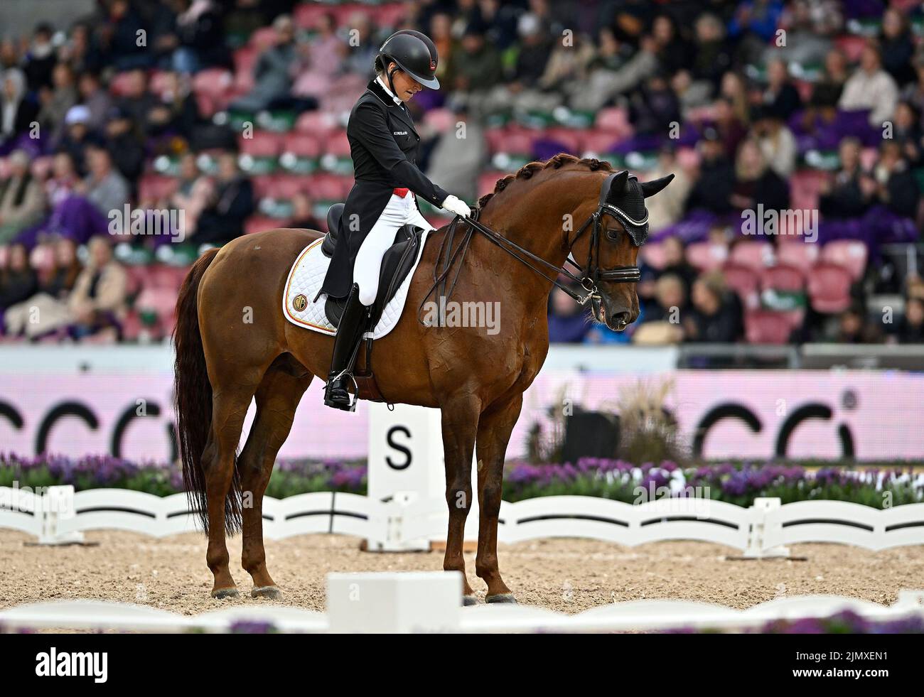 Herning, Denmark. 07th Aug, 2022. World Equestrian Games. Stutteri Ask ...