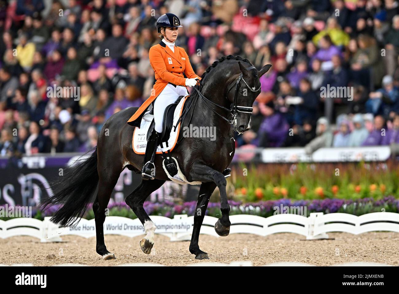 Herning, Denmark. 07th Aug, 2022. World Equestrian Games. Stutteri Ask ...