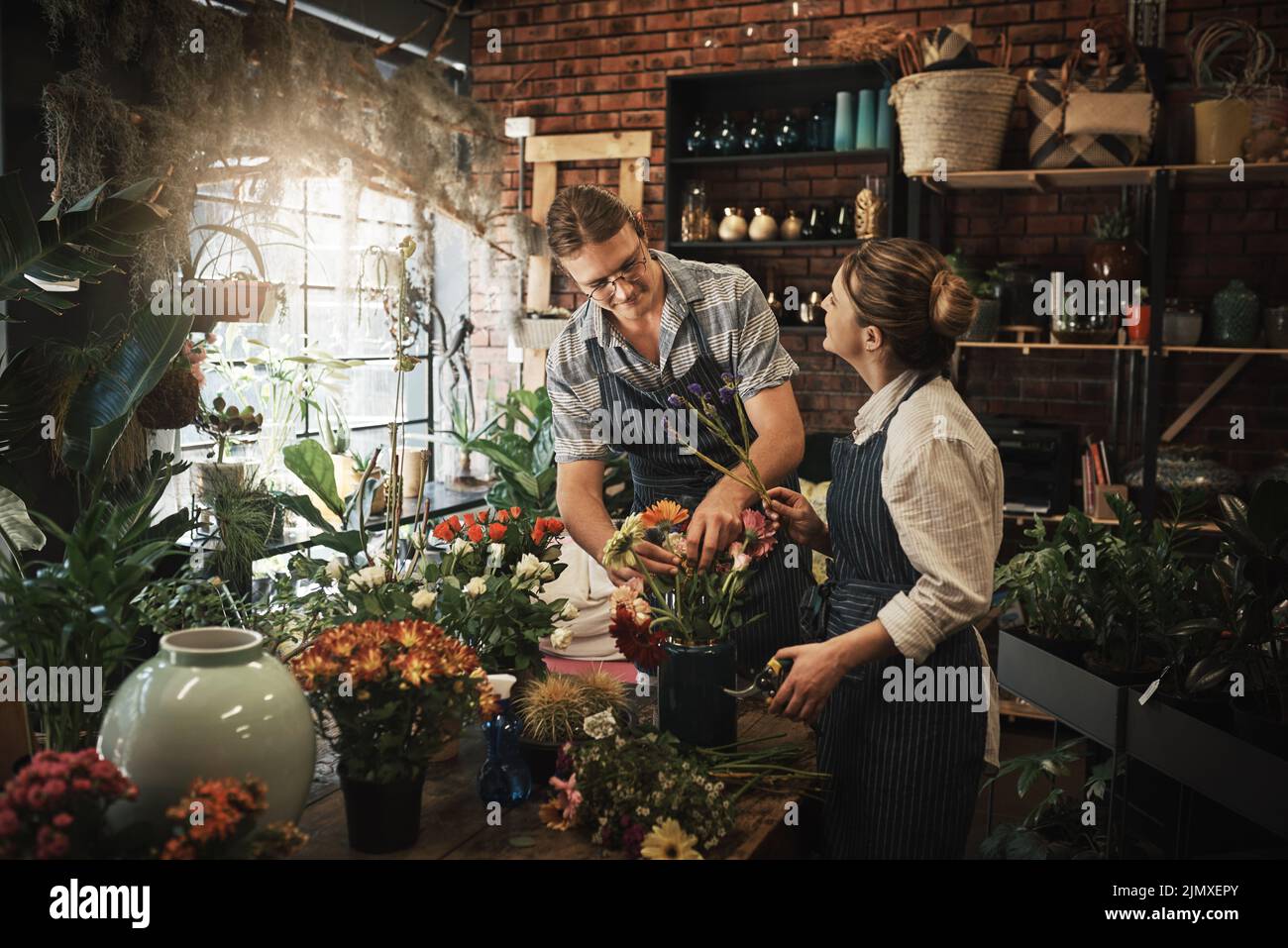 Attractive successful plant nursery hi-res stock photography and images ...