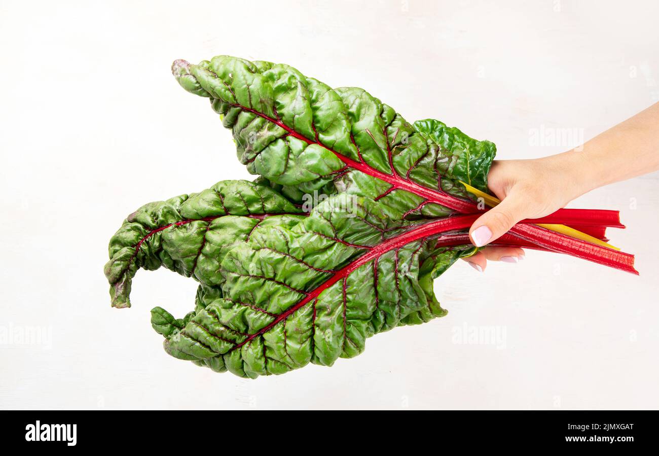 Raw chard on light background. Highly nutritious leaves. Popular ...
