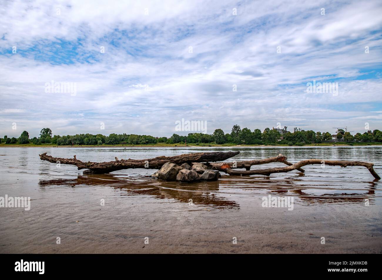 Flotsam on the rhine hi-res stock photography and images - Alamy