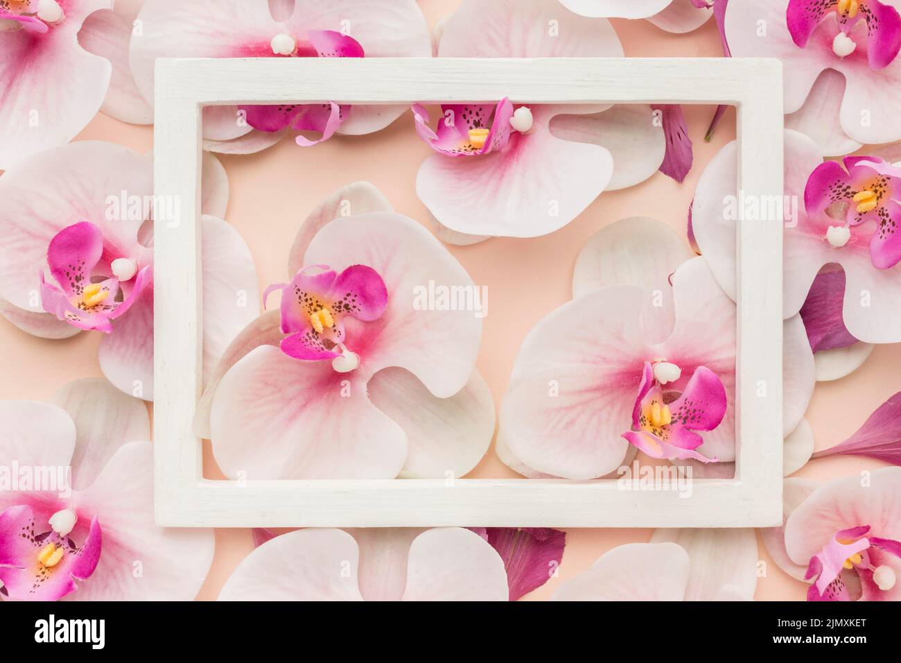 Top view orchids with frame Stock Photo - Alamy