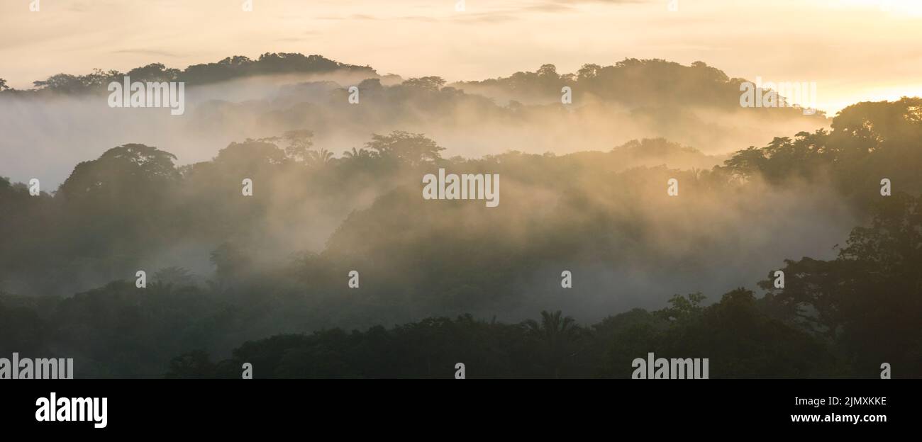 Panama rainforest panorama hi-res stock photography and images - Alamy