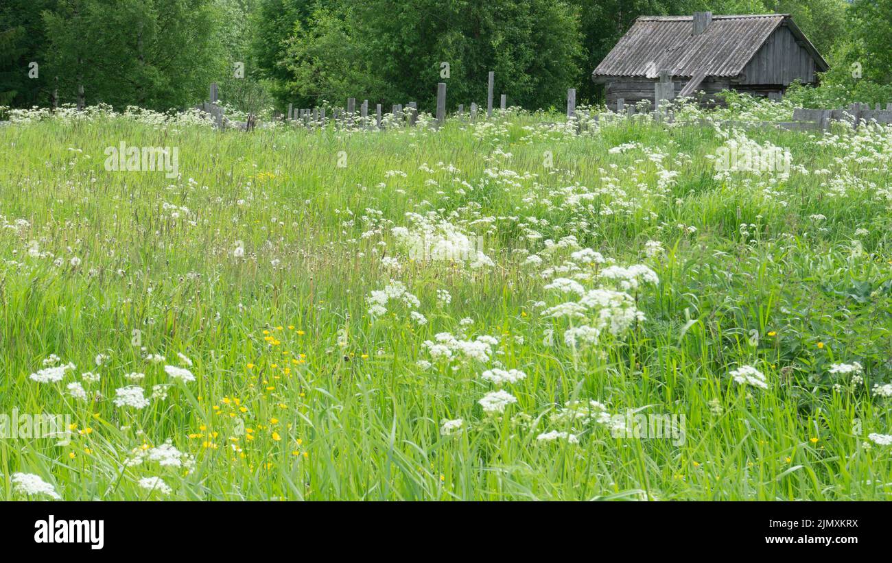 A small meadow in the village next to the house and the old bathhouse ...