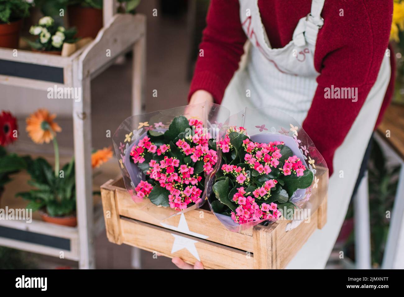 Lady florist hi-res stock photography and images - Alamy