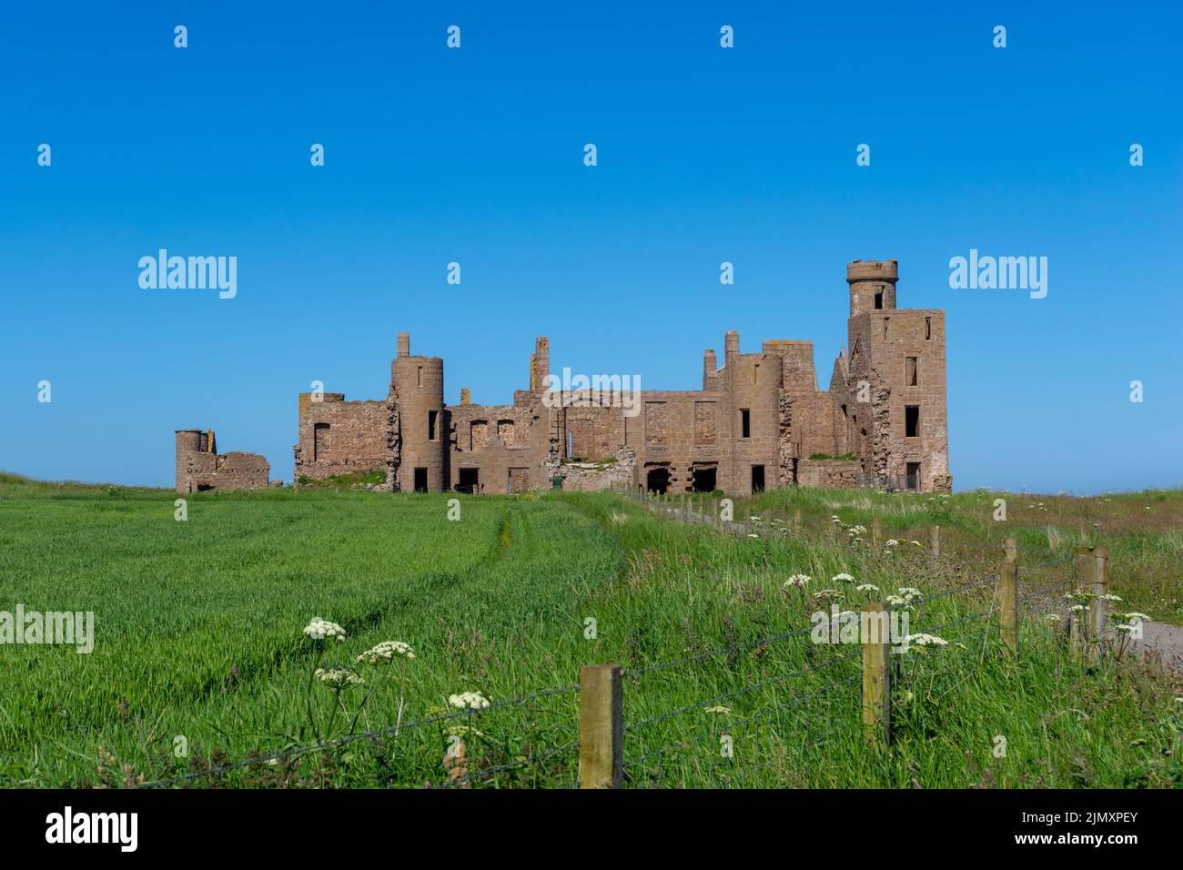 View of the historic Slains Castle ruins under a cloudless blue sky ...
