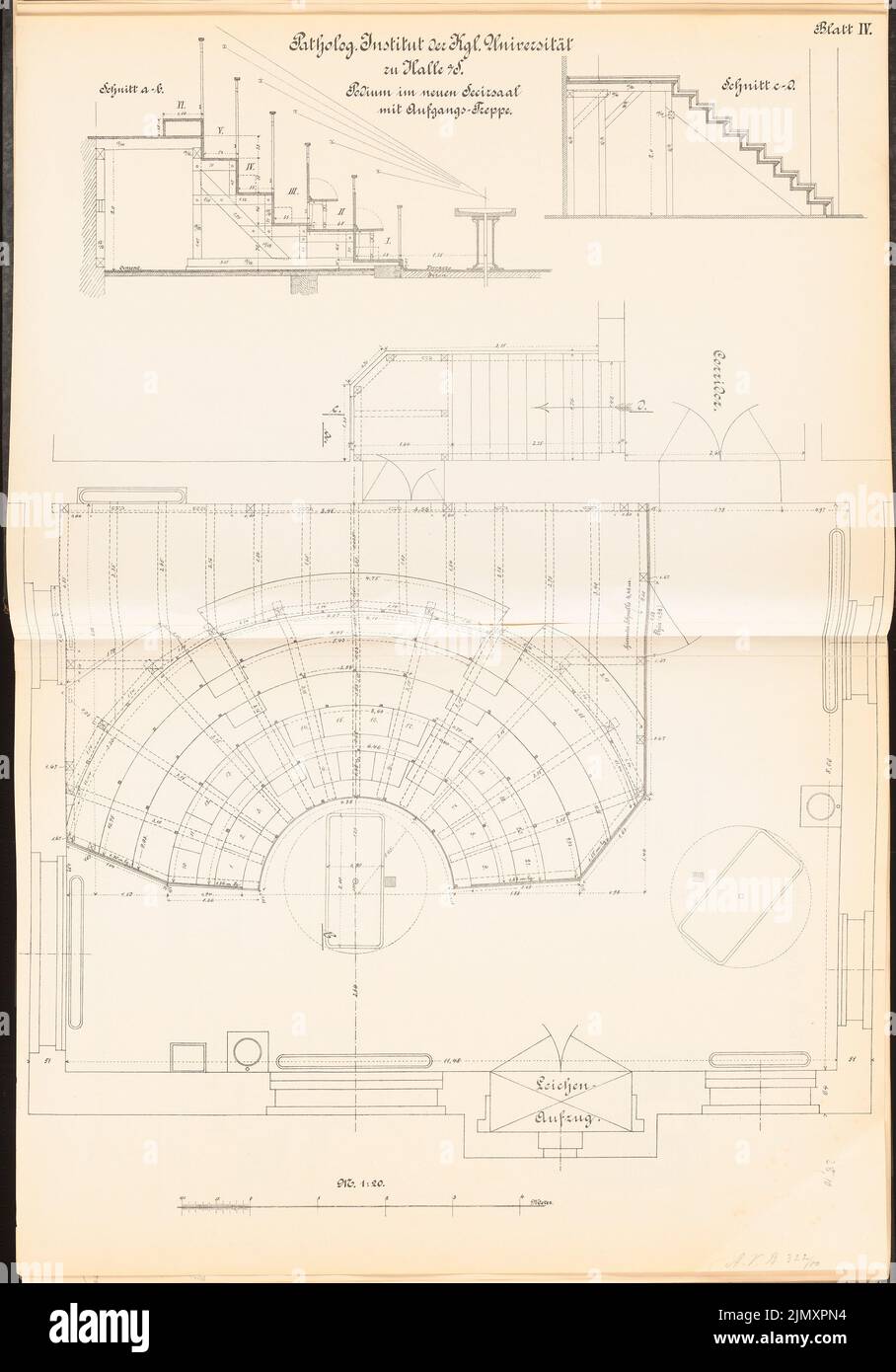 Dissection hall hi-res stock photography and images - Alamy