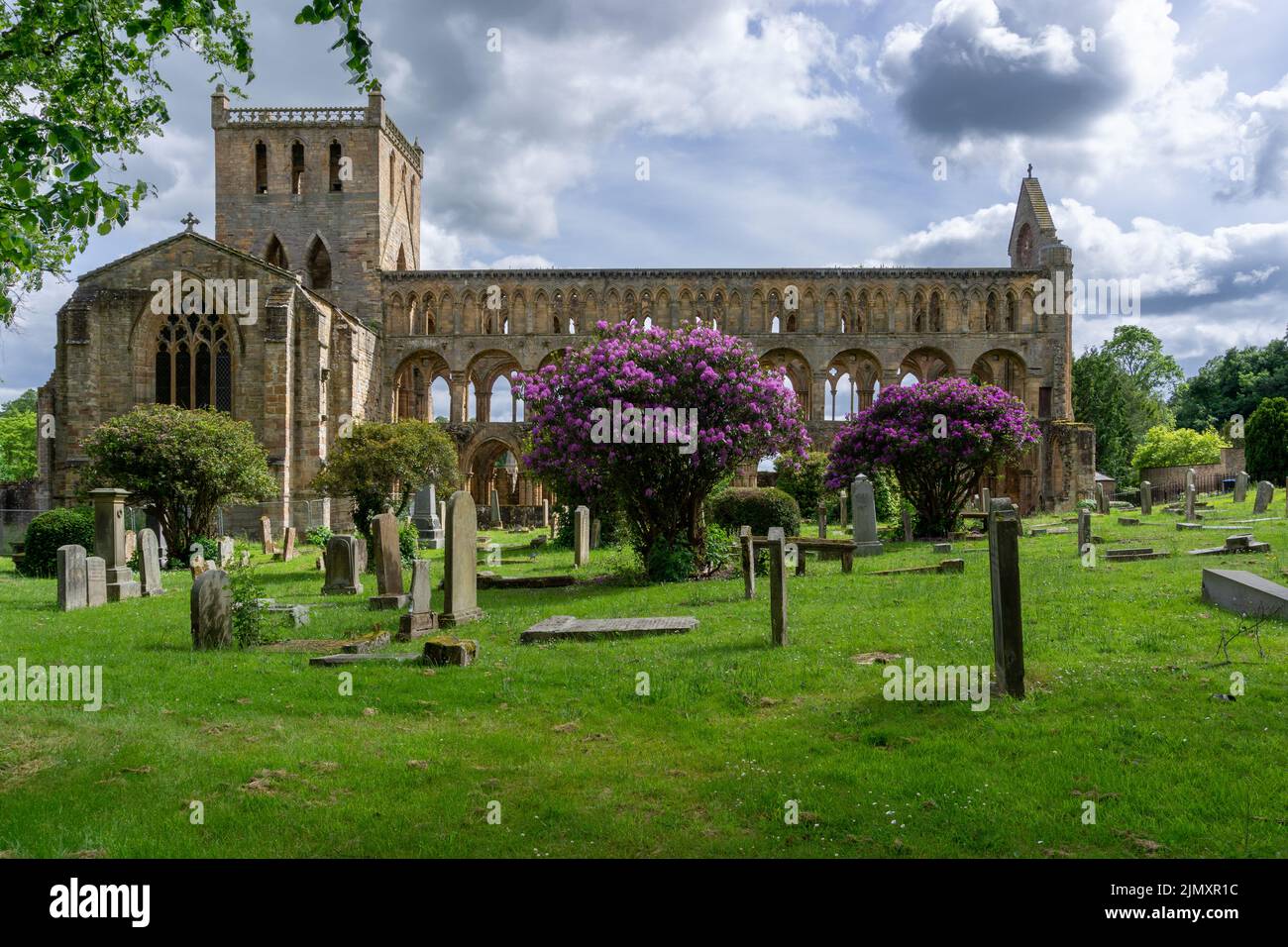 View of the Augustinian Jedburgh Abbey ruins and cemetery in southern ...