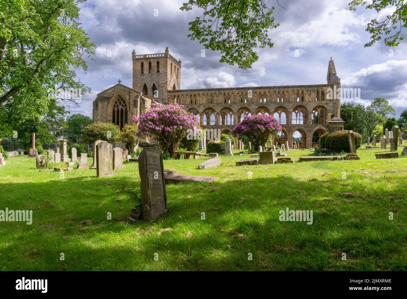 View of the Augustinian Jedburgh Abbey ruins and cemetery in southern ...