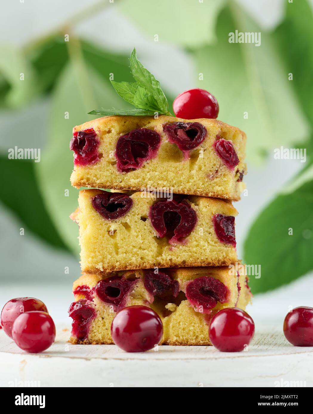 Baked pieces of sponge cake with red ripe cherries on a white wooden ...