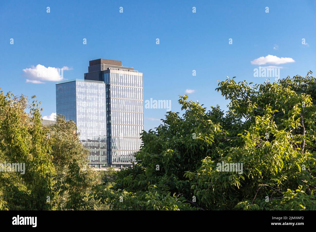 Glass building facade behind growing trees under blue bright sky Stock ...