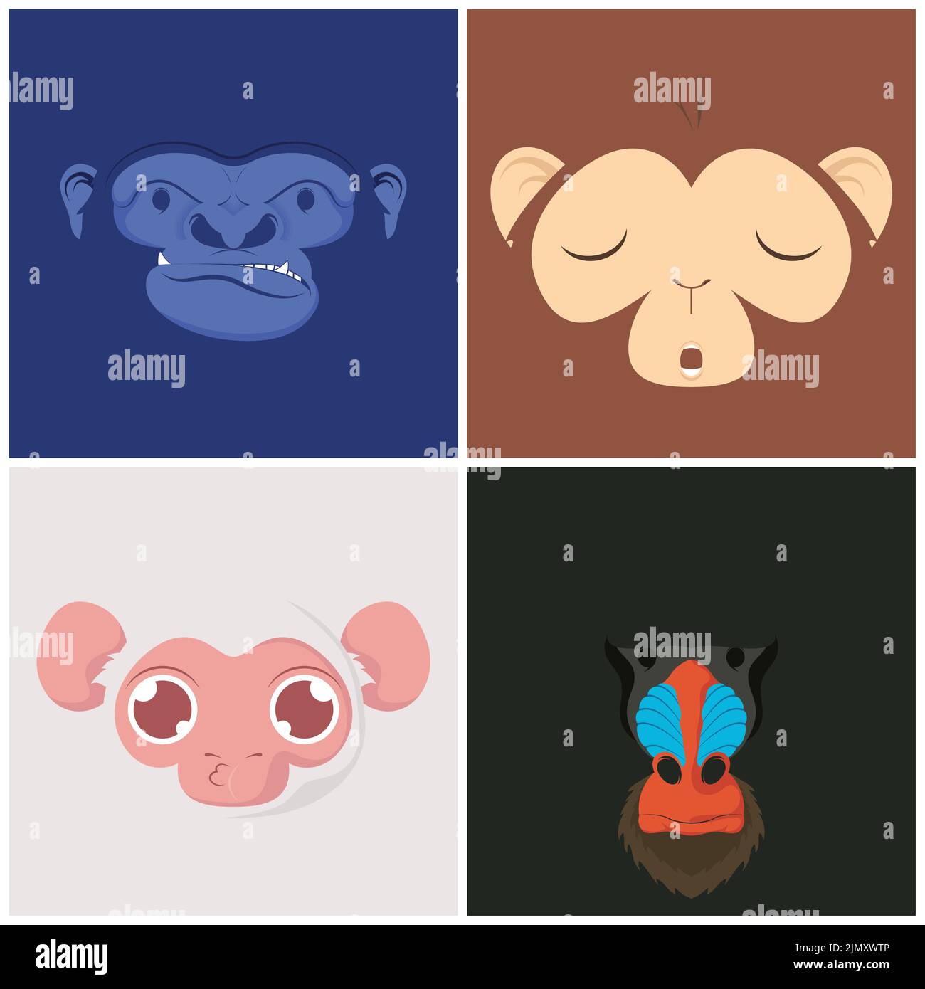 four monkeys heads animals characters Stock Vector Image & Art - Alamy