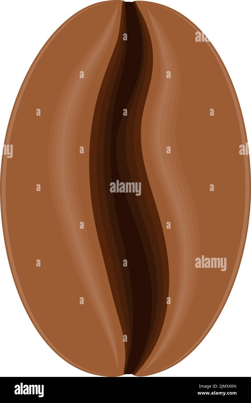 coffee grain seed isolated icon Stock Vector Image & Art - Alamy