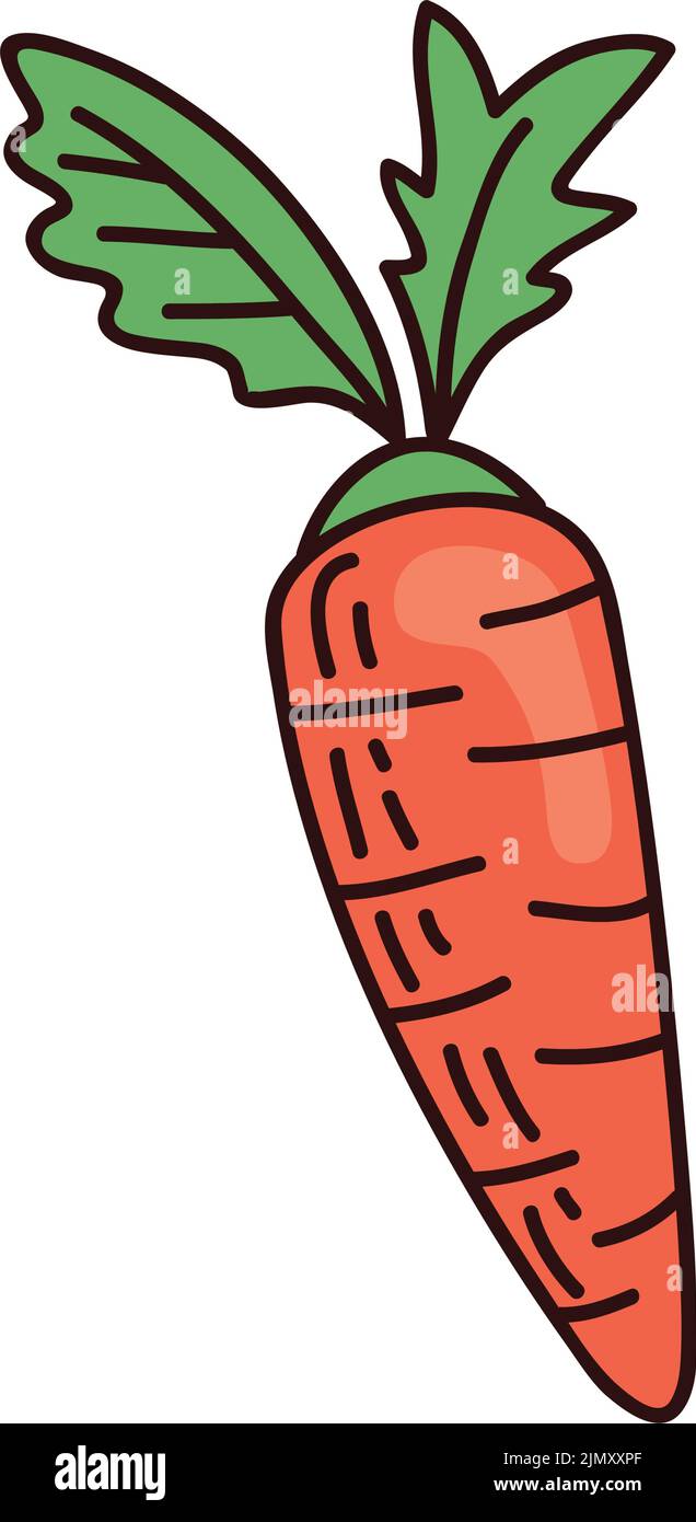 fresh carrot vegetable healthy icon Stock Vector Image & Art - Alamy