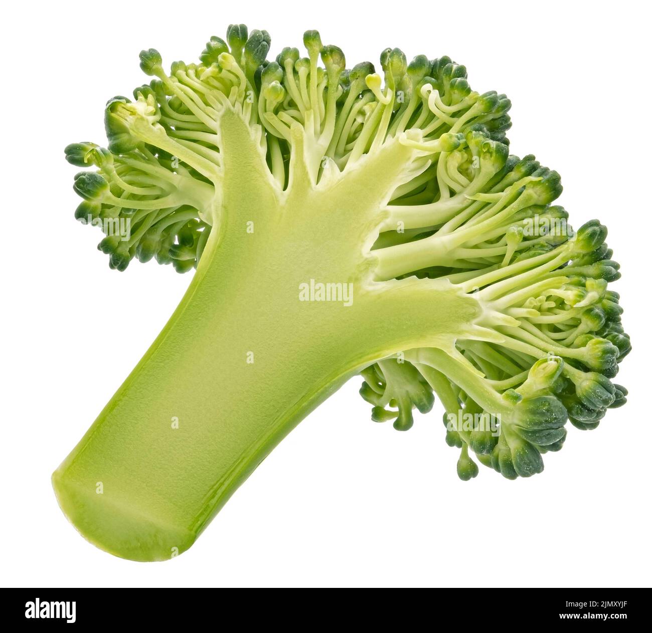 Broccoli slice isolated on white background Stock Photo - Alamy