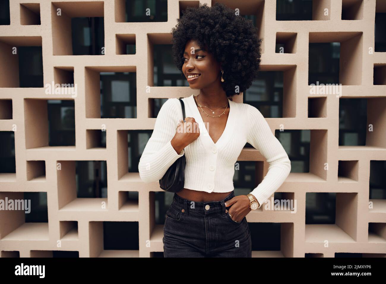 Stylish pretty african woman with Afro hairstyle posing near geometric ...
