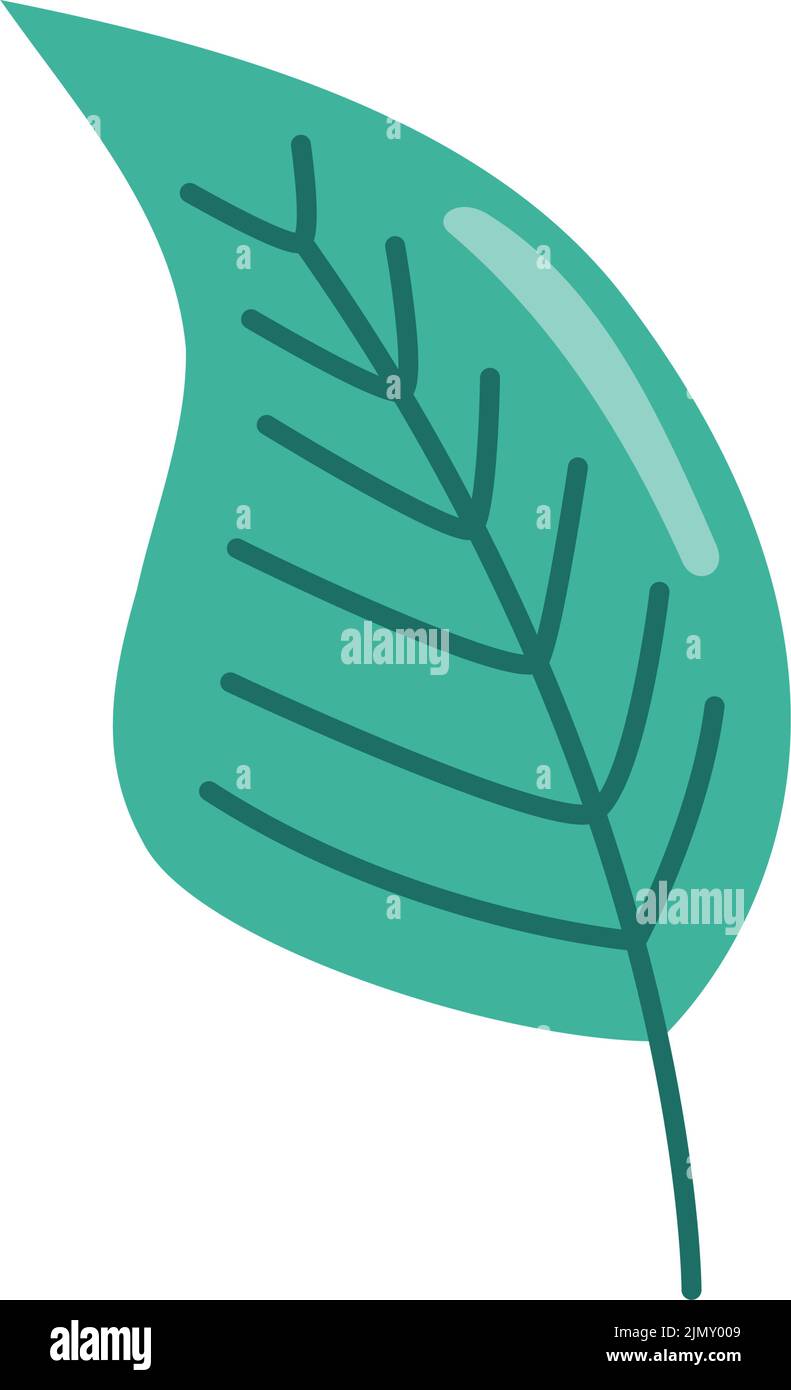 leaf plant foliage nature icon Stock Vector Image & Art - Alamy