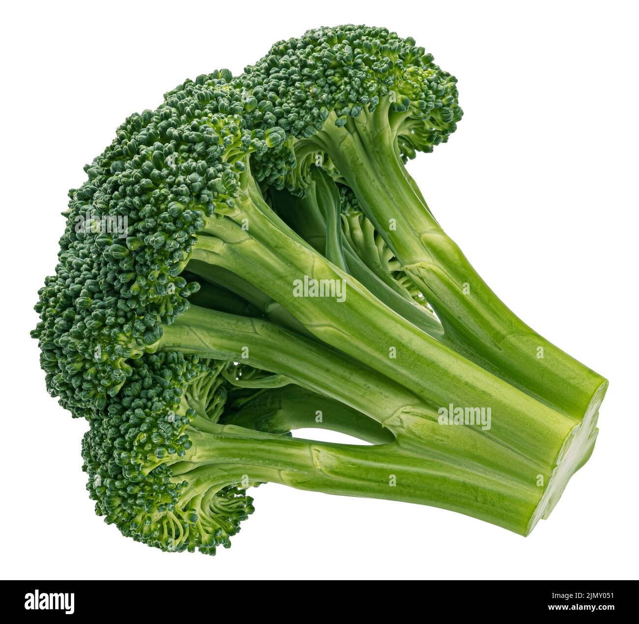 Broccoli isolated on white background Stock Photo - Alamy