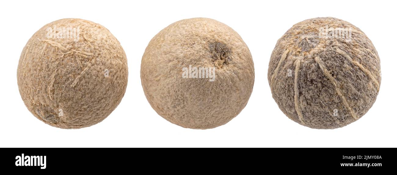 White peppercorns isolated on white background, full depth of field ...