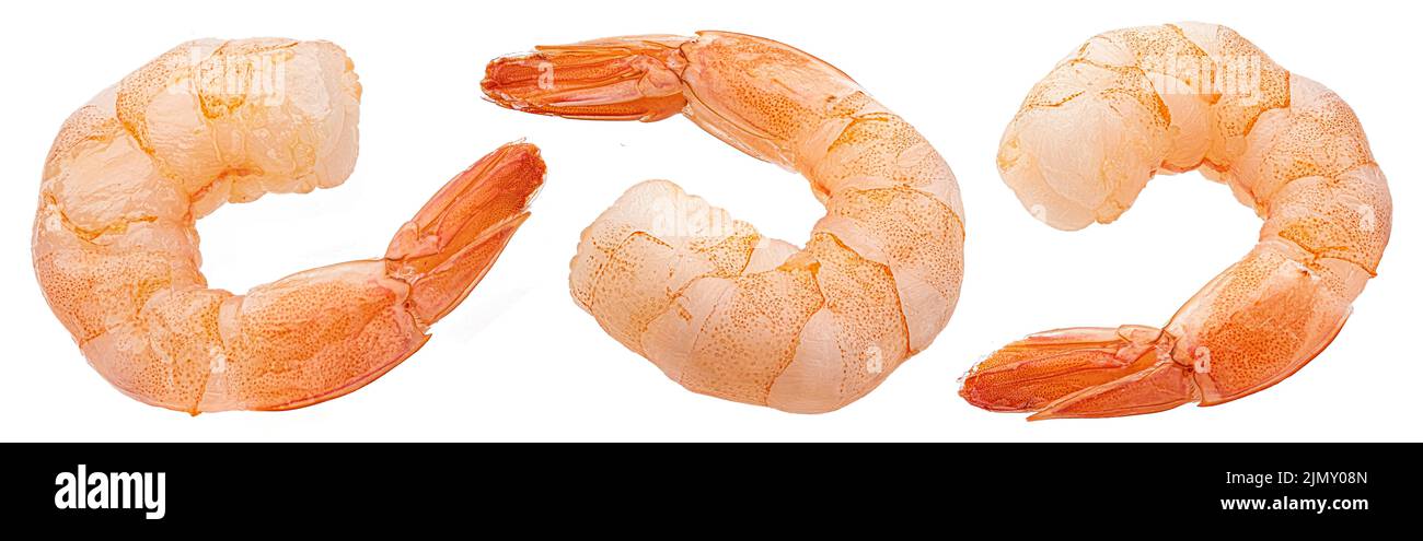 Shrimp. Prawn isolated on white background Stock Photo - Alamy