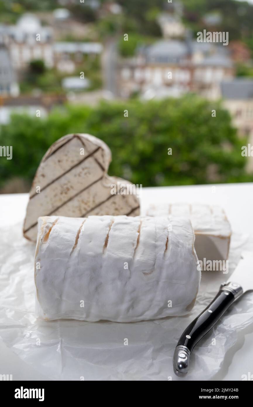 French cheeses heartshaped, squared and cylindrical neufchatel cow ...